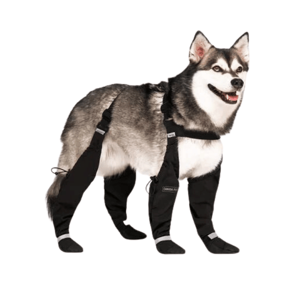 Vêtements et Accessoires Canada Pooch pour Chiens - Sherbrooke Canin