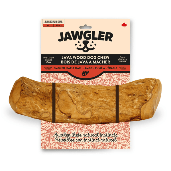 Dentler Javawood - Sherbrooke Canin