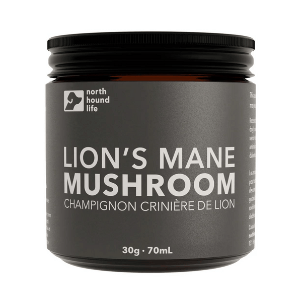 Lion's Mane Mushroom - Sherbrooke Canin