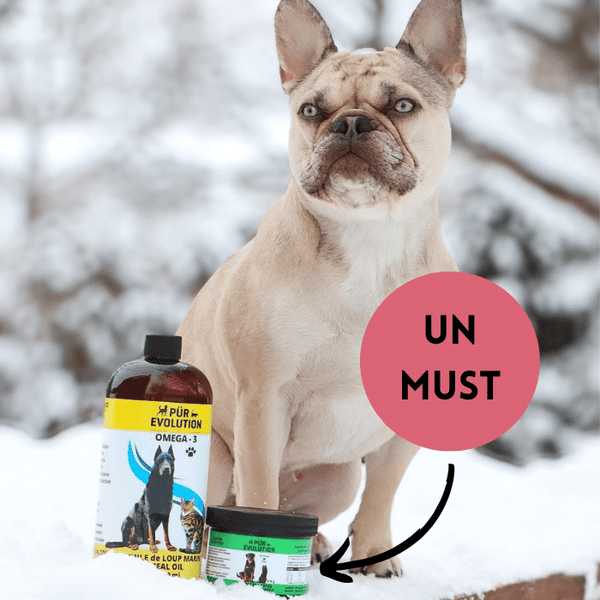 Moule verte pour chiens et chats 170g - Pur Evolution - Sherbrooke Canin