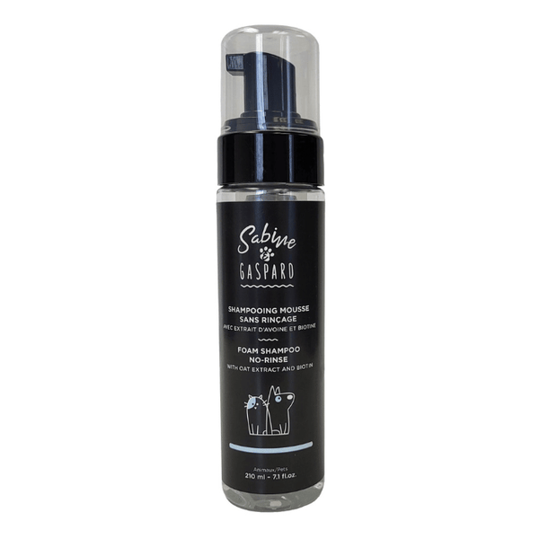 Sabine & Gaspard, Leave-In Foam Shampoo With Oat Extract and Bioti ...