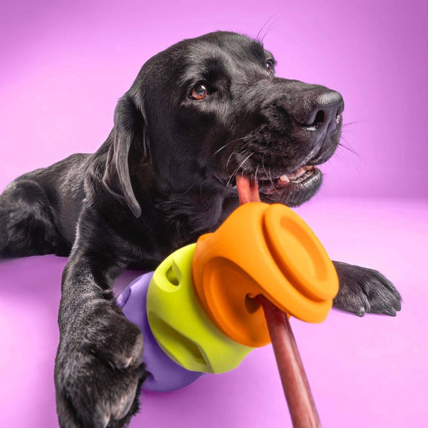 WagLab Play Stack Dog Toy - The Bully - Sherbrooke Canin