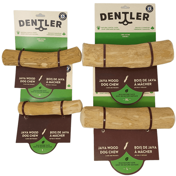 Bois de java à mâcher - Nature Sauvage - Sherbrooke Canin
