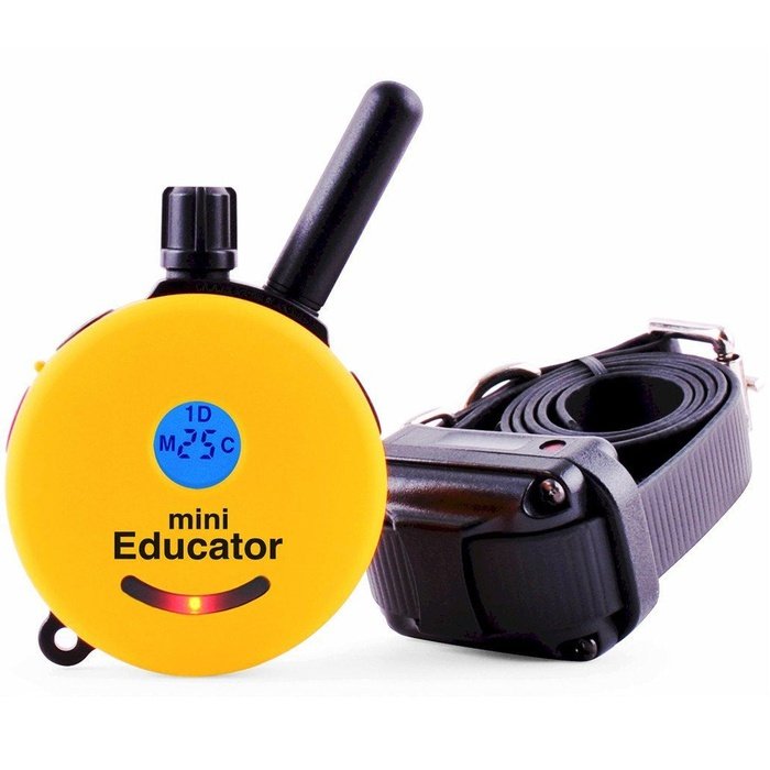 Colliers de Dressage E-Collar Technologies pour Chiens - Sherbrooke Canin