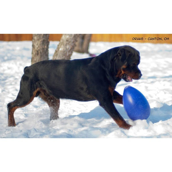 Jolly Egg Dog Toys - Sherbrooke Canin