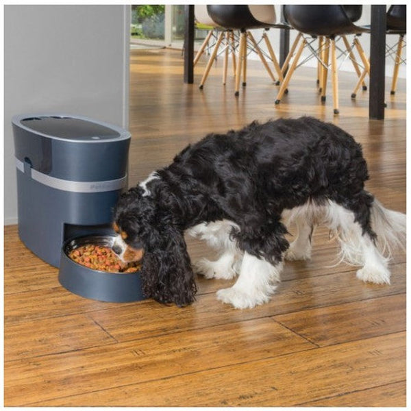 PetSafe Smart Feed connected kibble dispenser for dogs and cats ...