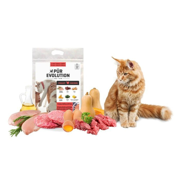 PÜR Evolution Cat - CHICKEN - Frozen raw in store only - Sherbrooke Canin