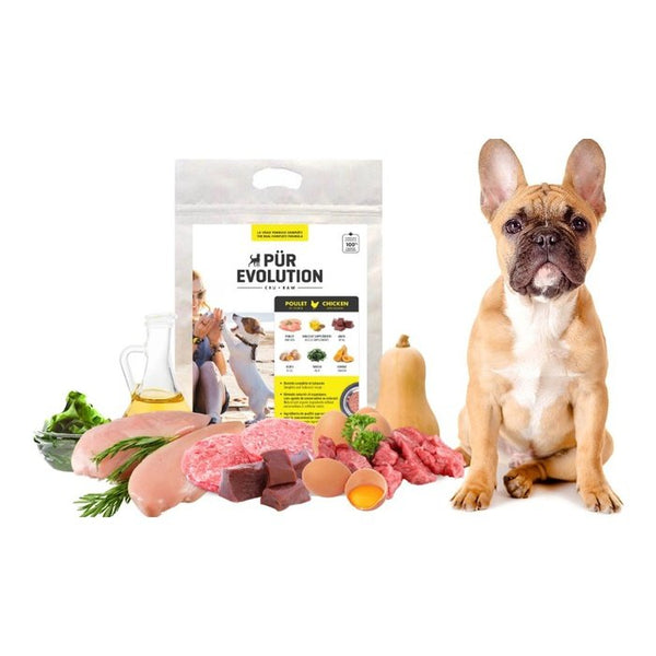 PÜR Evolution adult dog - CHICKEN and SQUASH - Frozen raw in store onl ...